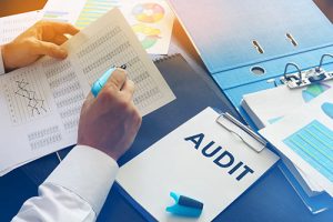 Understanding Auditors' Key Focus Areas in a Company Audit